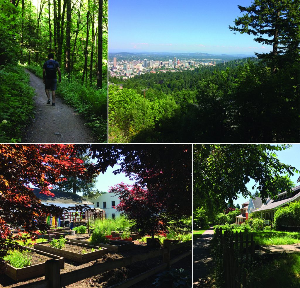 Spring in Portland - Architect-US