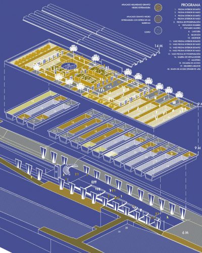 Public Baths for the City of Madrid - Architect-US