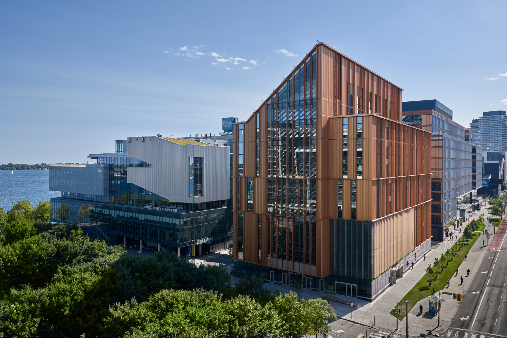 Limberlost Place by Moriyama Teshima Architects redefines solid wood ...